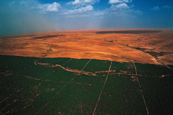 Boosting large-scale land restoration and renewable energy solutions ...