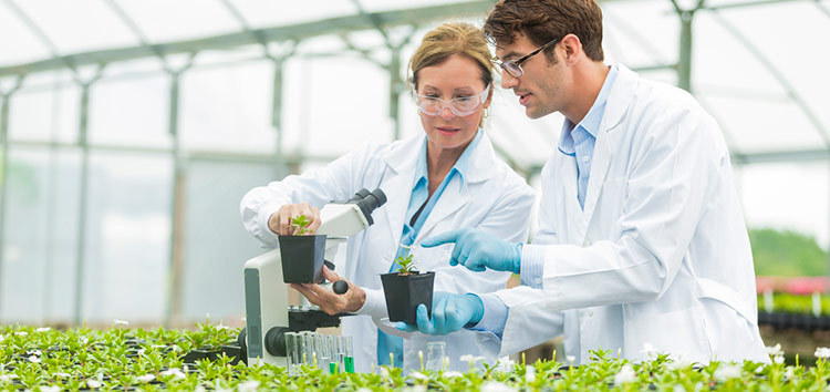 COP23 and the transfer of climate technology DevelopmentAid