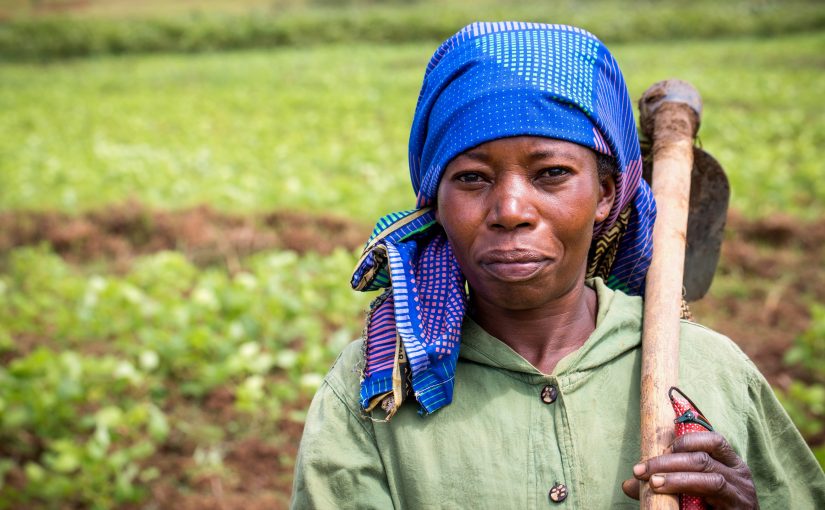WFP-FAO launch innovative German-funded project to support peace and rebuild lives in post ...