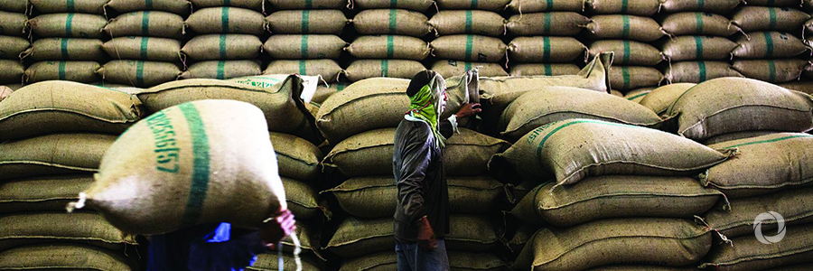 IFC and Myanmar Rice Federation join hands to boost Myanmar’s rice ...