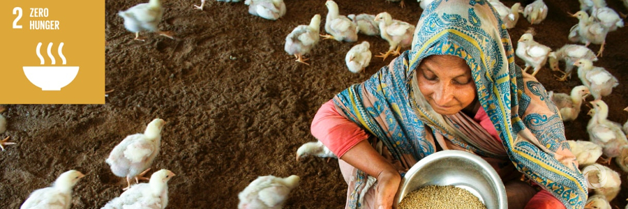 Vietnam launches Zero Hunger program DevelopmentAid