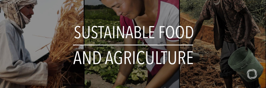 Europe highlights FAO’s unique role in achieving sustainability in food ...