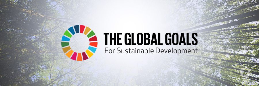UN Forum examines three pillars of 2030 Global Goals DevelopmentAid
