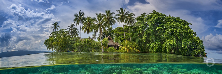 New partnership formed for a sustainable Pacific environment DevelopmentAid