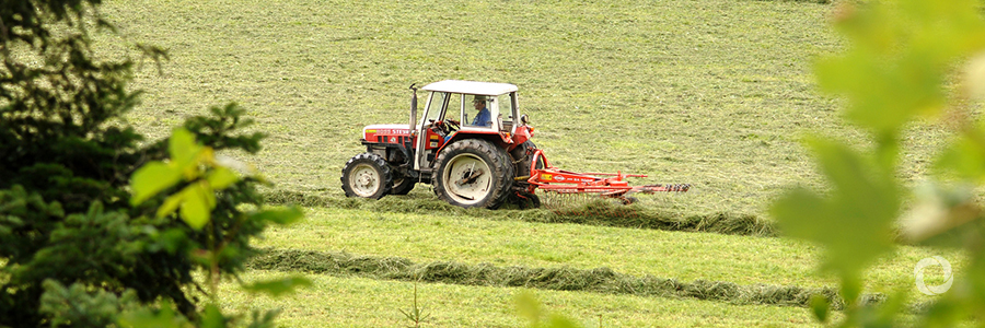 EIB supports Romania’s Rural Development Programme with EUR 450 million ...