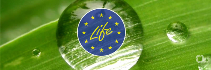 LIFE Programme DevelopmentAid