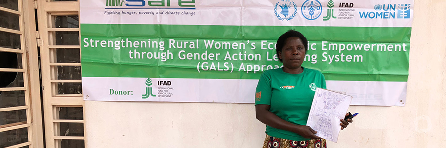 Addressing gender imbalances and climate issues through household ...