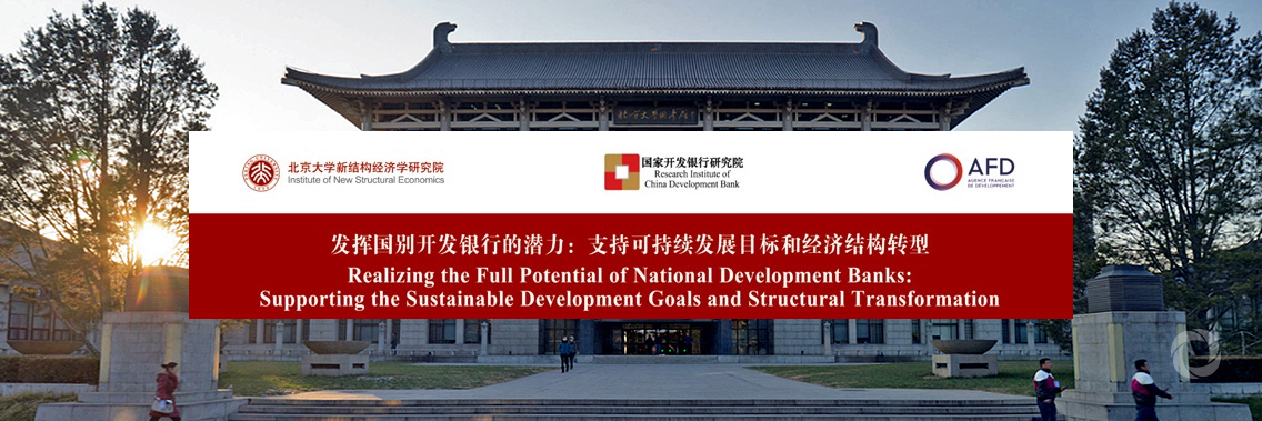 Realizing the Full Potential of National Development Banks: Supporting ...