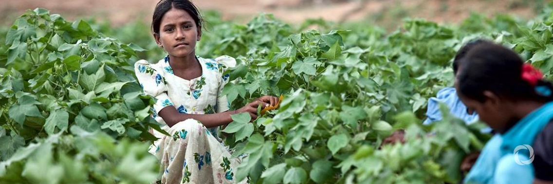 EU, FAO and ILO unite to end child labour in agriculture DevelopmentAid