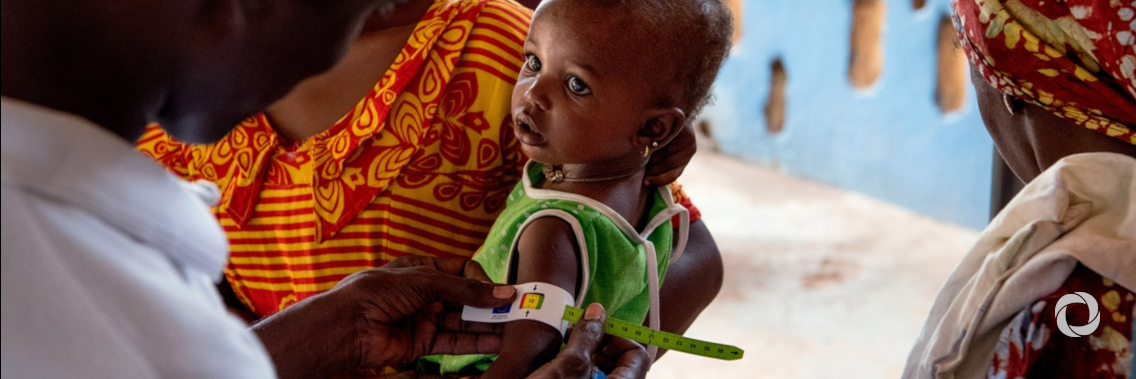 Creating a better way to deal with hunger DevelopmentAid