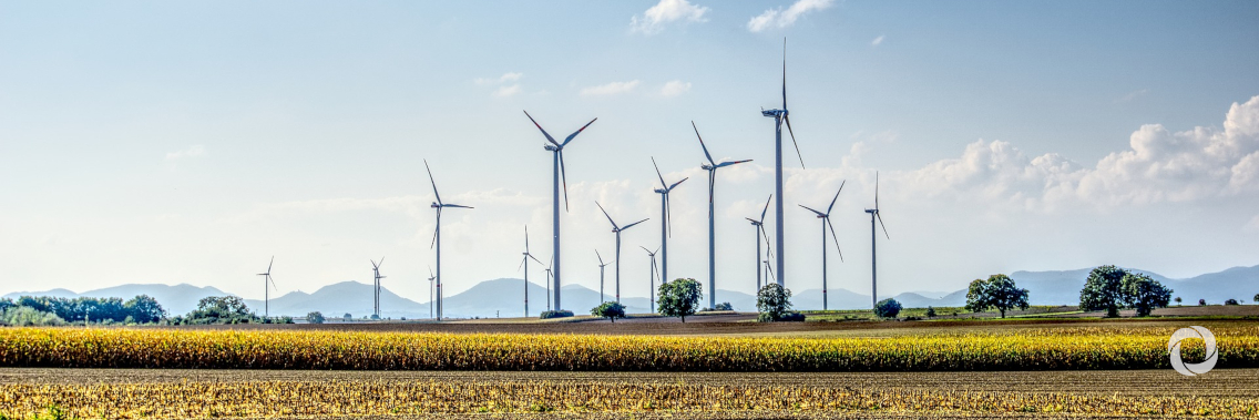 Renewables can lead the world's response to climate change DevelopmentAid