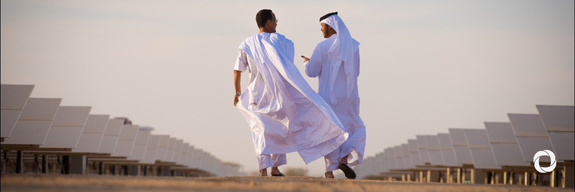 Five reasons why countries in the Arabian Gulf are turning to ...