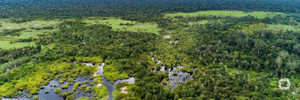 Restoring and rehabilitating land a big step towards achieving the ...