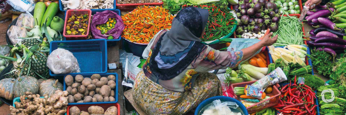 FAO and the Shanghai Cooperation Organisation strengthen partnership on ...