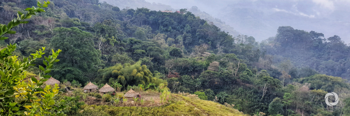 Colombia to host 2020 World Environment Day on biodiversity DevelopmentAid
