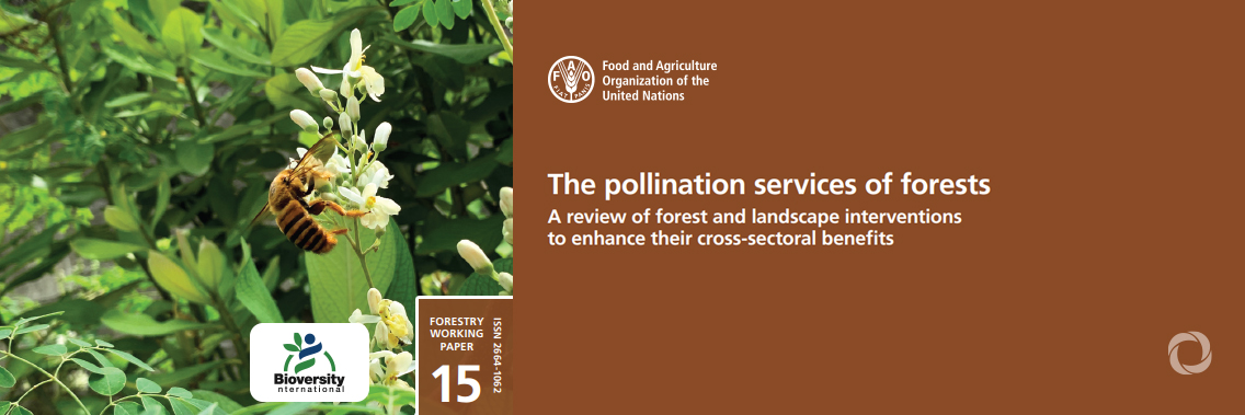 Forests are critical for promoting pollination in agriculture and ...
