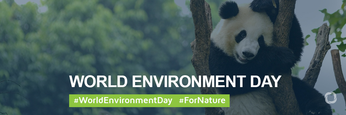 World Environment Day 2020 DevelopmentAid