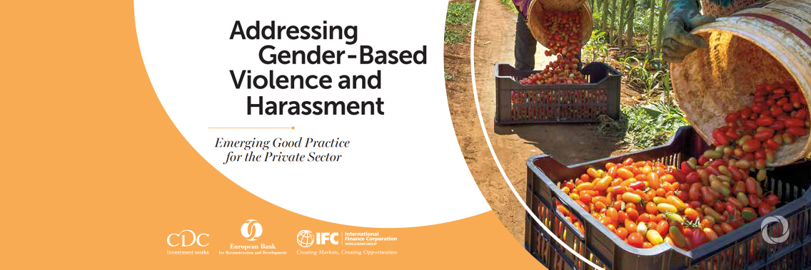 New guidance for the private sector on addressing risks of gender-based ...