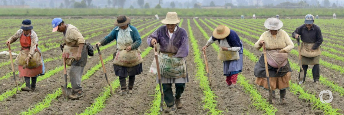 IFAD-funded project to help family farmers to increase productivity and ...
