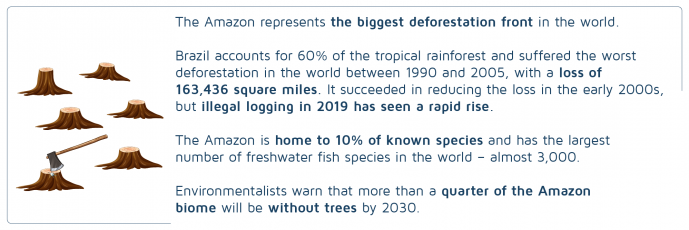 Unprecedented levels of deforestation in the Amazon DevelopmentAid