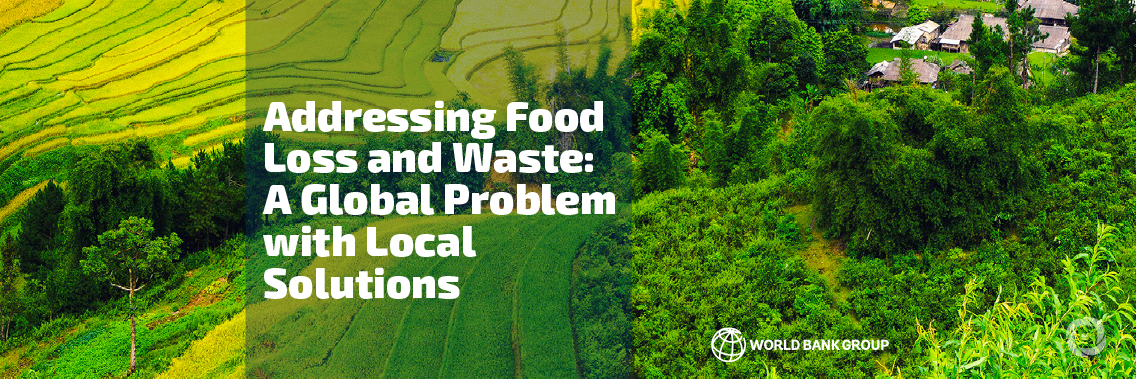 Cutting food loss and waste can deliver big wins for countries’ food ...