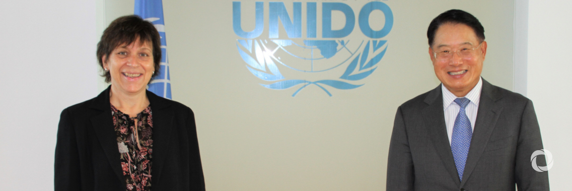 UNIDO, Monaco and UfM partner to empower women in Tunisia DevelopmentAid
