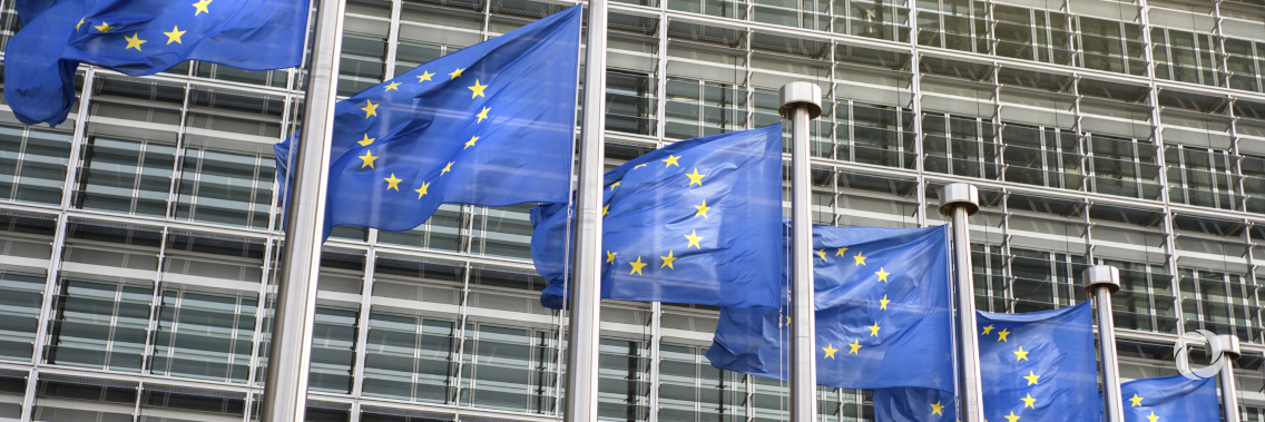 2021 Commission work programme – from strategy to delivery DevelopmentAid