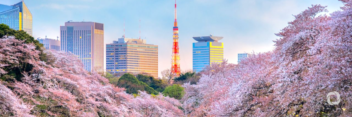 UN chief encouraged by Japan’s 2050 net zero pledge DevelopmentAid