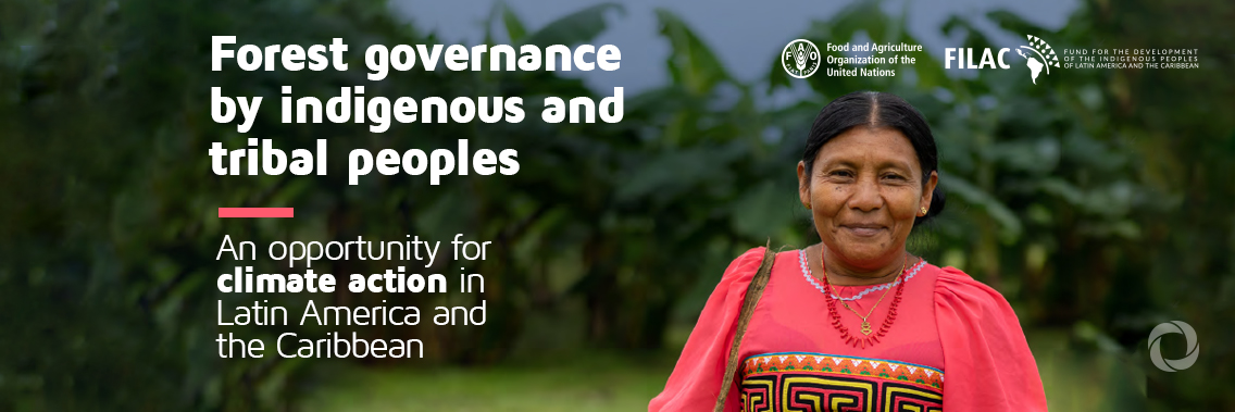 New report shows Indigenous and Tribal Peoples ‘best guardians' of ...