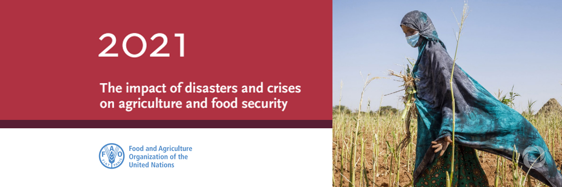 Disasters take heavy toll on agri-food systems as new threats emerge ...