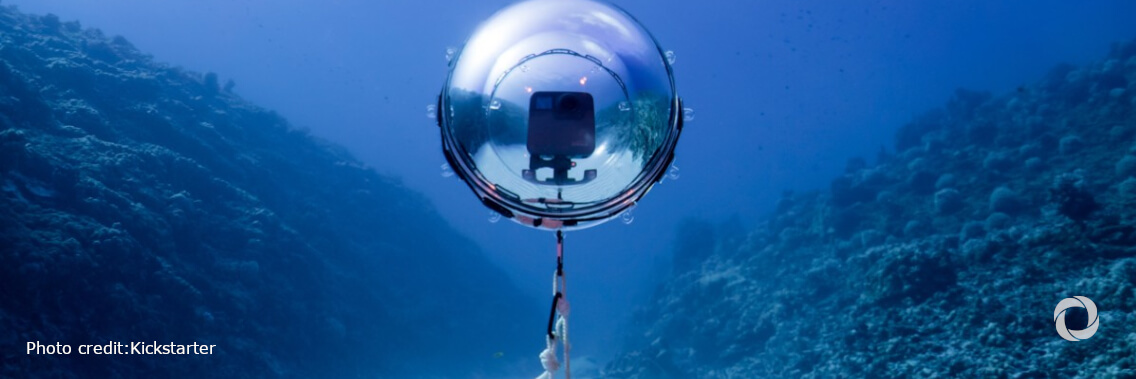 UK launches world’s largest ocean monitoring system to protect wildlife ...