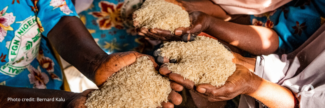 With millet on the menu, WFP and NITI Aayog join hands to bolster ...