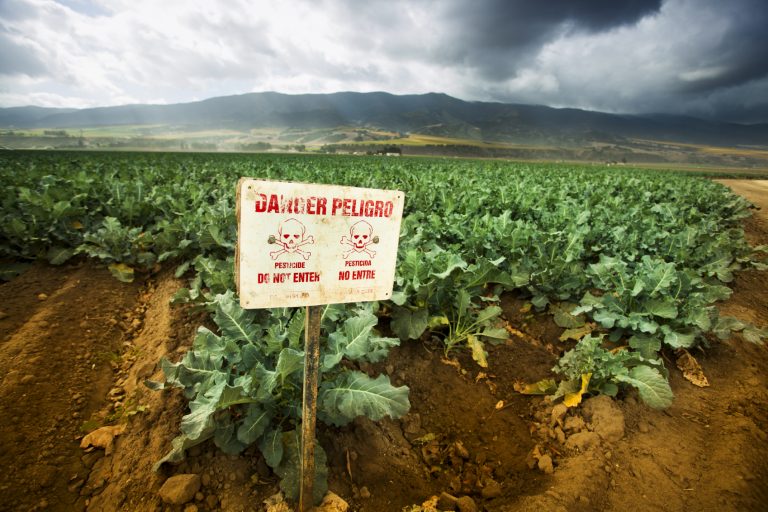 Brazil sets record for pesticide approval and seeks even more ...