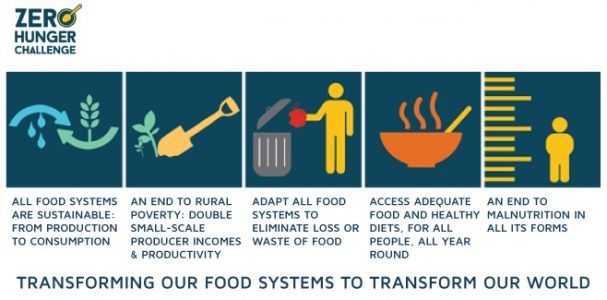 Heavy burden of world hunger and 10 solutions to end it DevelopmentAid