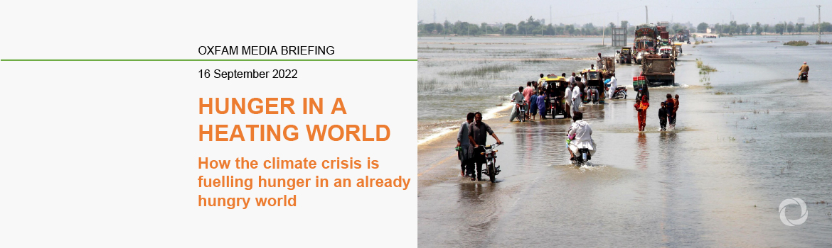 Extreme hunger has more than doubled in 10 of the world’s worst climate ...