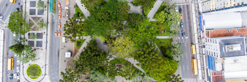 UN launches challenge for cities to harness the power of nature for ...