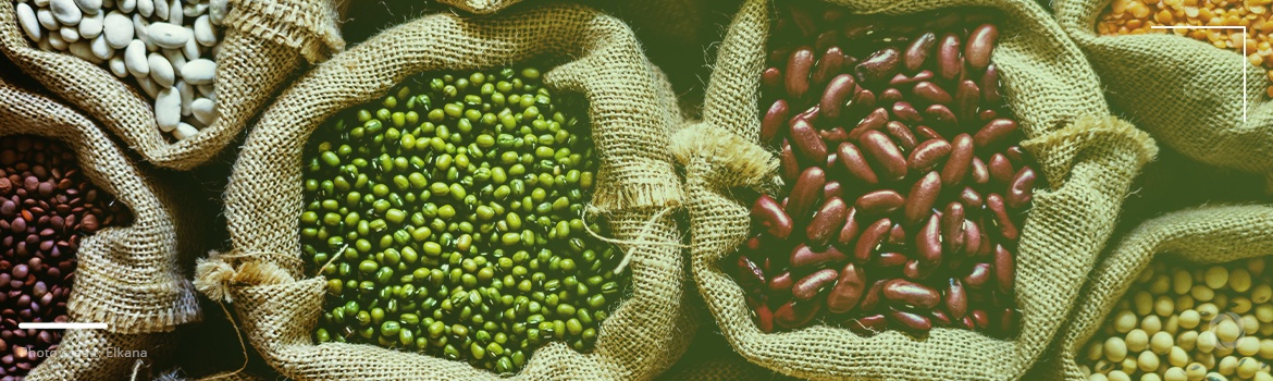 Celebrating pulses for soil, people, and ecosystems DevelopmentAid