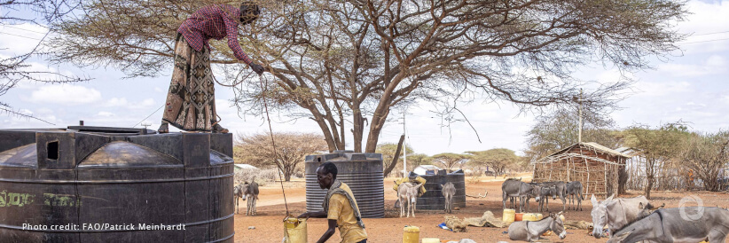 IRC: Severe drought is projected to leave about 5.4 million people in ...