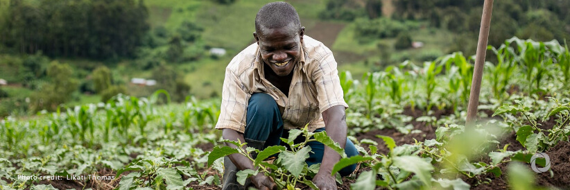 Urgent investment in rural areas is needed to safeguard global food ...