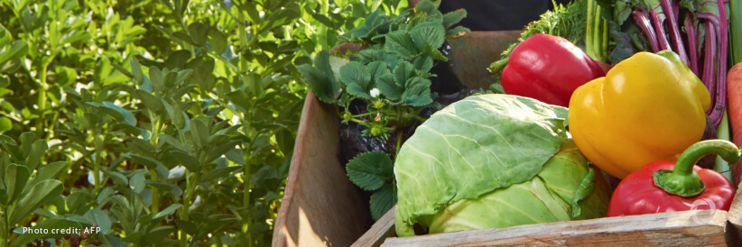 Benchmark for world food commodity prices fall in March for the twelfth ...