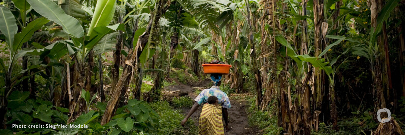 Netherlands invests in accelerated action for people and planet through ...
