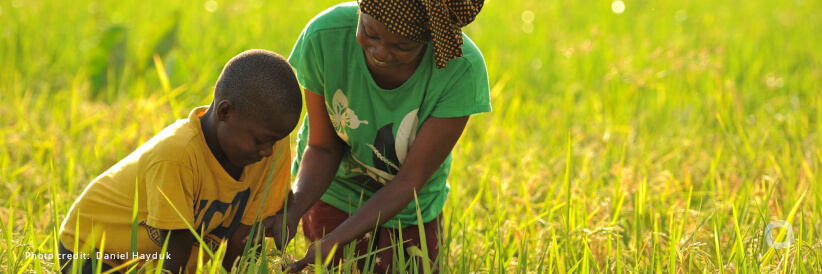 Innovative technology can help curb child labour in agriculture ...