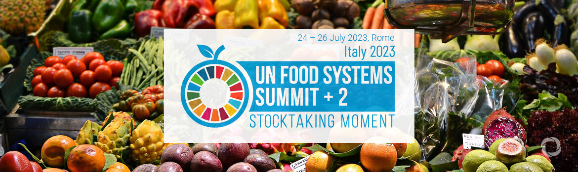 Un Food Systems Summit 2 Stocktaking Moment 2023 Developmentaid