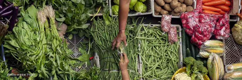 FAO highlights the power of transforming agrifood systems for climate ...