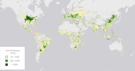 Top 10 corn-producing countries worldwide DevelopmentAid