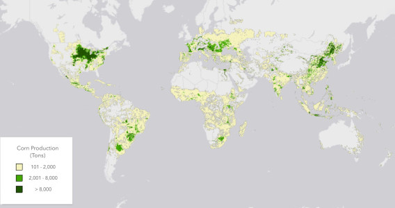 Top 10 corn-producing countries worldwide DevelopmentAid
