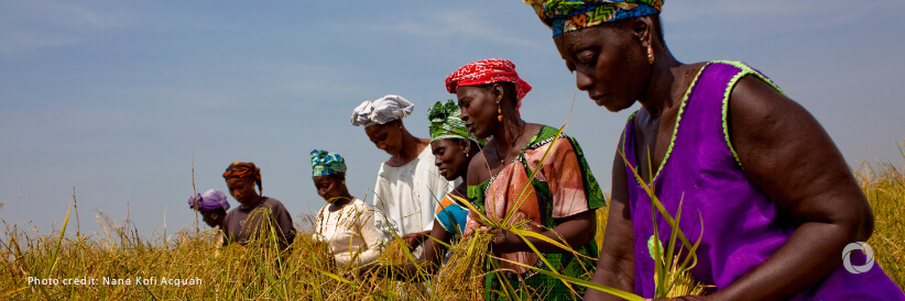 Germany strengthens investment in UNDP's efforts towards sustainable ...