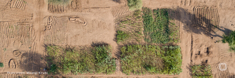 At least 100 million hectares of healthy land lost each year DevelopmentAid