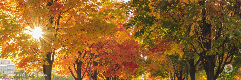 World had warmest October on record DevelopmentAid