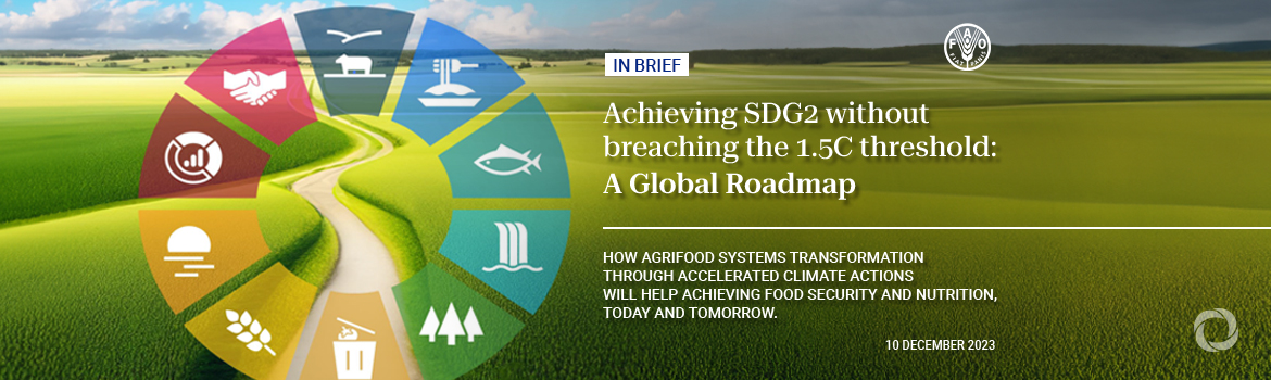 COP28: FAO launches global roadmap process to eradicate hunger within 1 ...